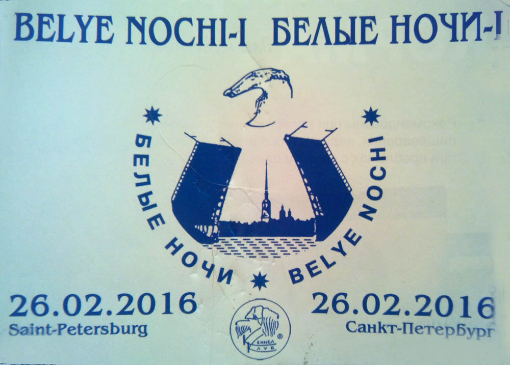 CACIBы в Питере. Выставки "Белые ночи" и "Балтийский триумф"